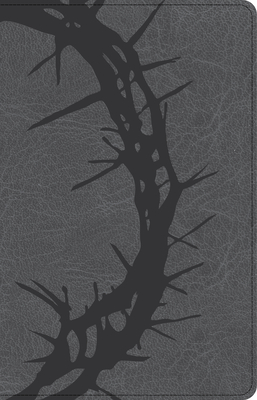 CSB Large Print Personal Size Reference Bible, Charcoal LeatherTouch ...